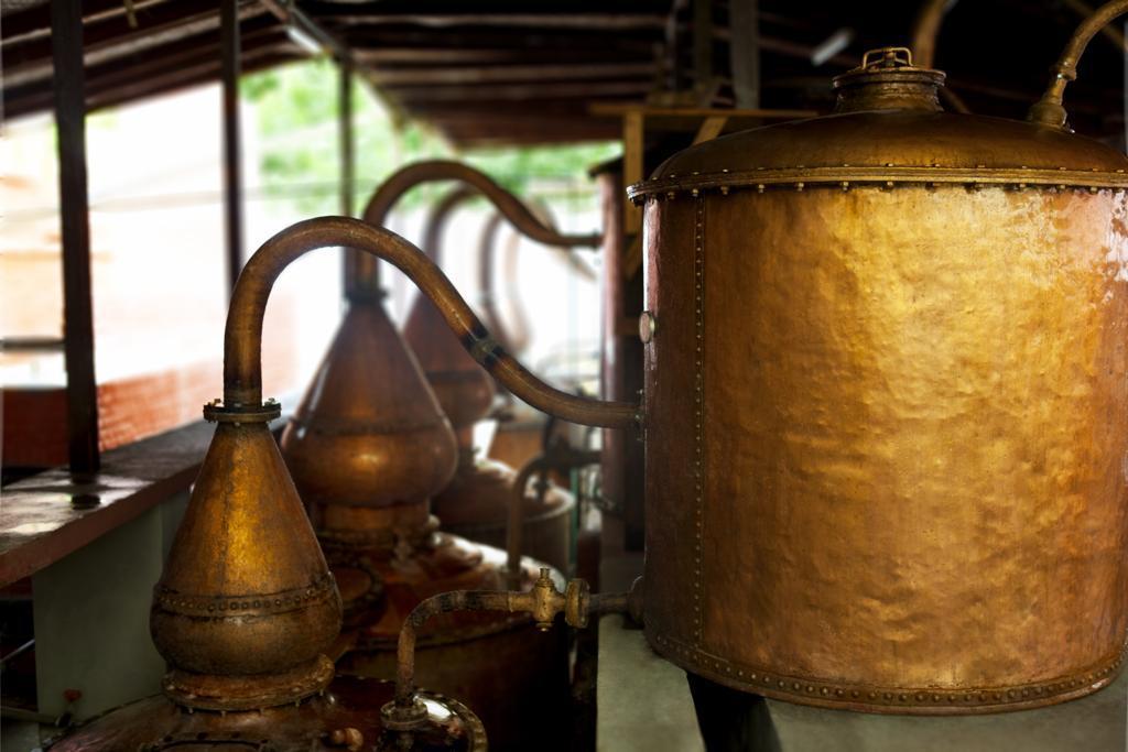 Pisco Paradise: Deep dive into's Peru's quintessential spirit | MENU